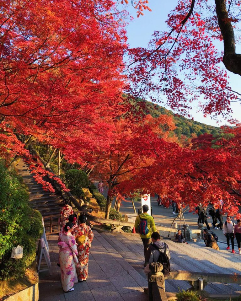 Visiting Japan in the Fall: Experience the Colorful Autumn Leaves in ...