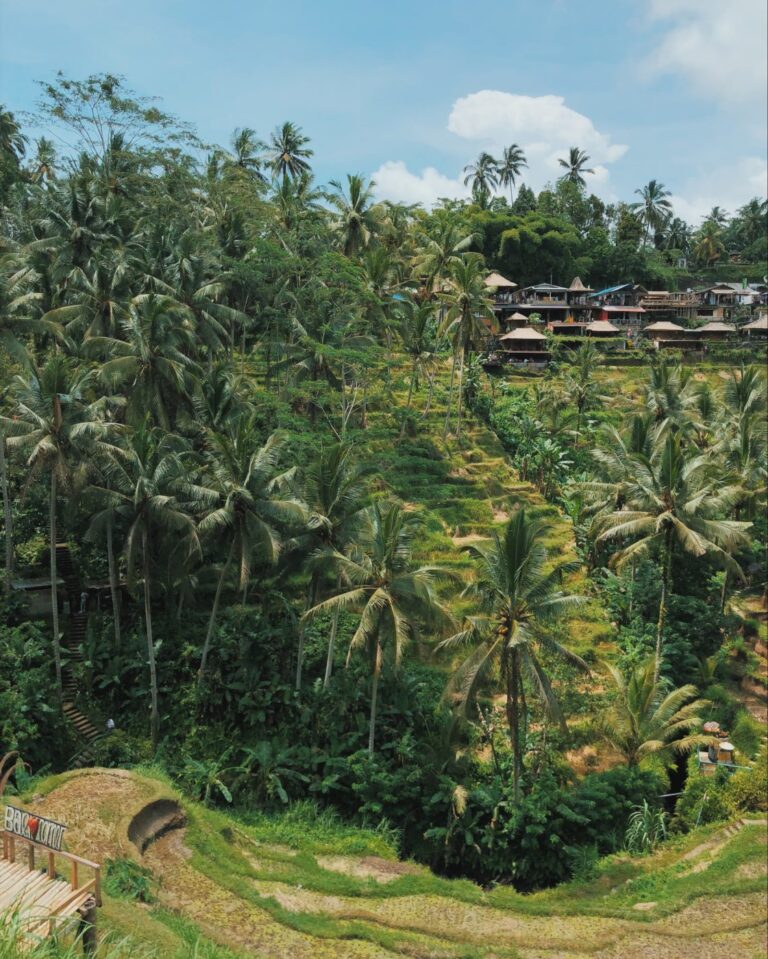 Ubud Travel Guide: Things to do in Ubud, where to stay and what to eat ...