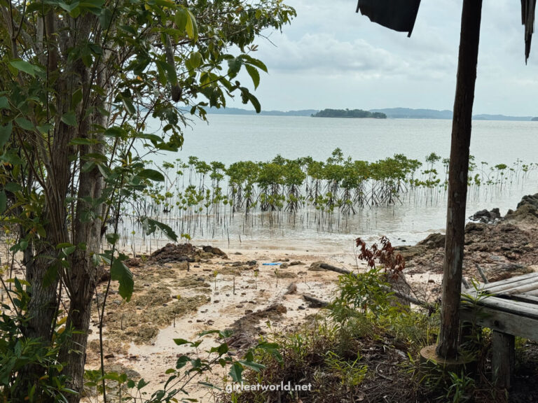 Telunas Private Island: A Quick Island Resort Getaway from Singapore ...