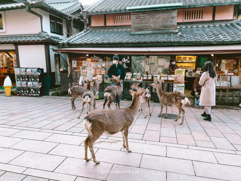 Nara Day Trip Itinerary: The Capital of Ancient Japan — Girl Eat World