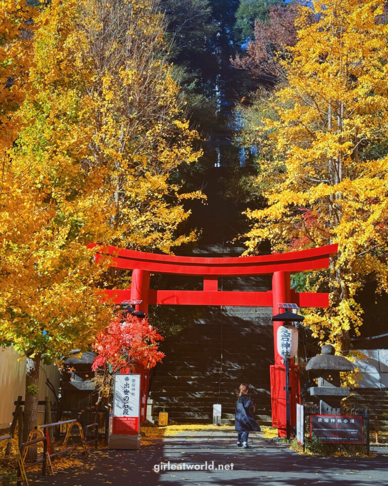 Visiting Japan in the Fall: Experience the Colorful Autumn Leaves in ...