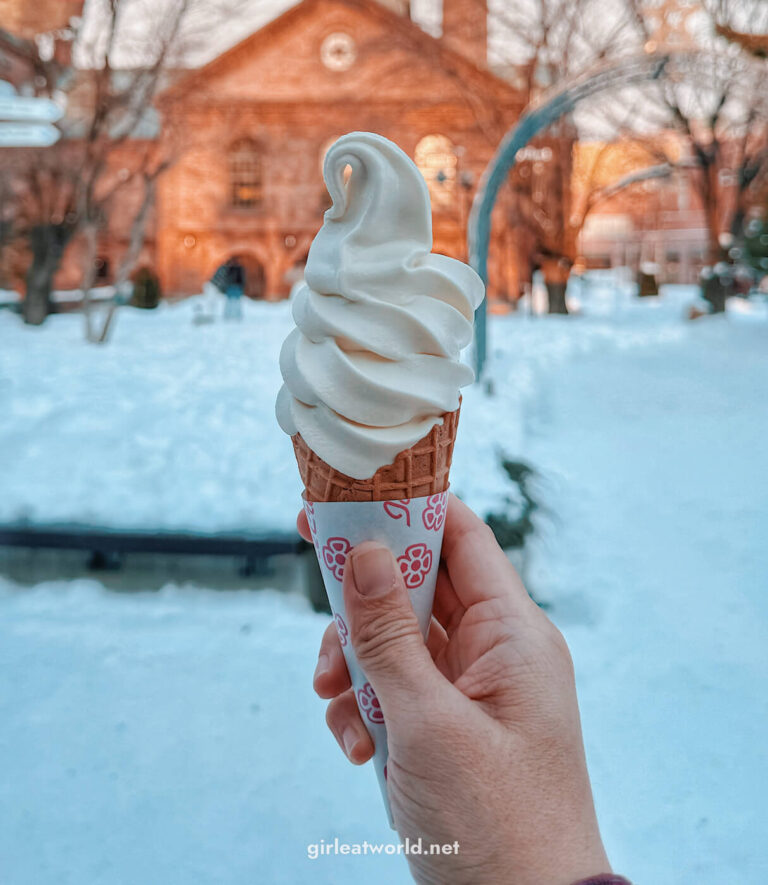 Sapporo Food Guide: 10 Dishes You Must Eat in Sapporo — Girl Eat World