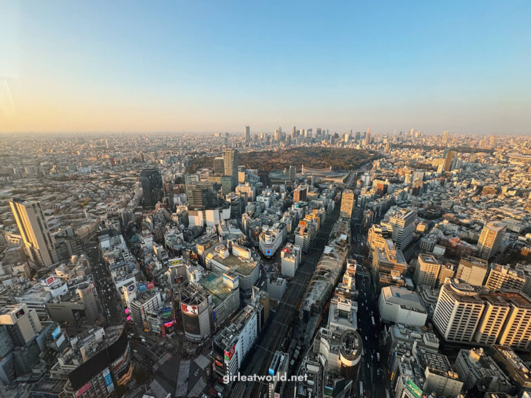 Shibuya Sky: Is It Worth Visiting? Honest Review of Shibuya Sky — Girl ...