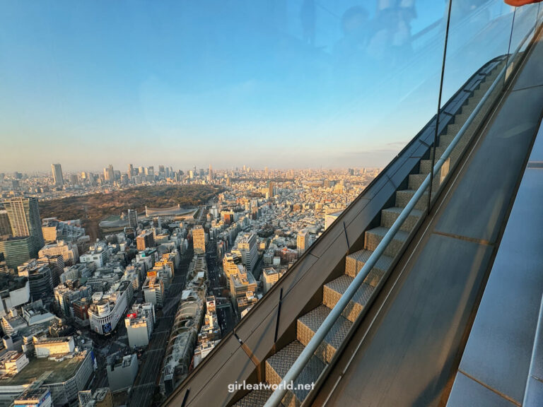 Shibuya Sky: Is It Worth Visiting? Honest Review of Shibuya Sky — Girl Eat World