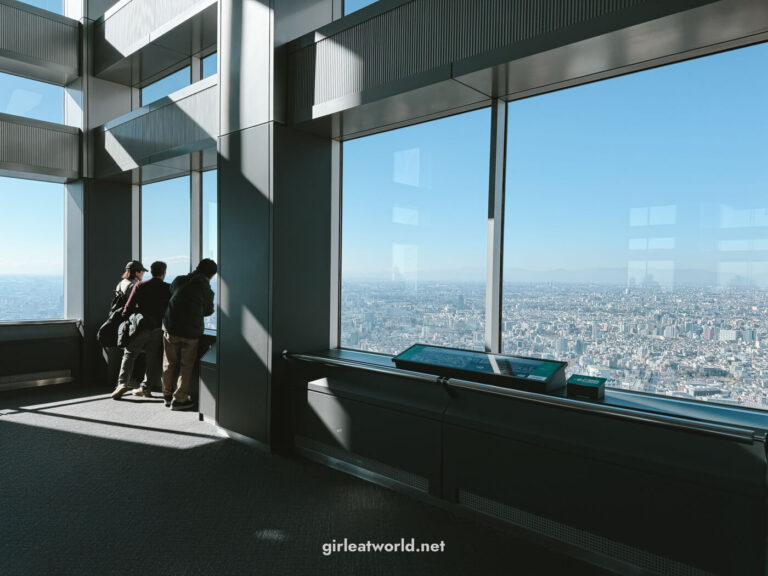 Best Views of Tokyo Skyline: Observation Decks and Viewing Points ...
