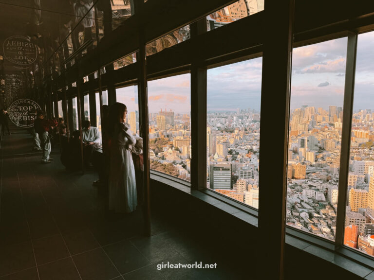 Best Views of Tokyo Skyline: 10 Amazing Observation Decks and Viewing ...