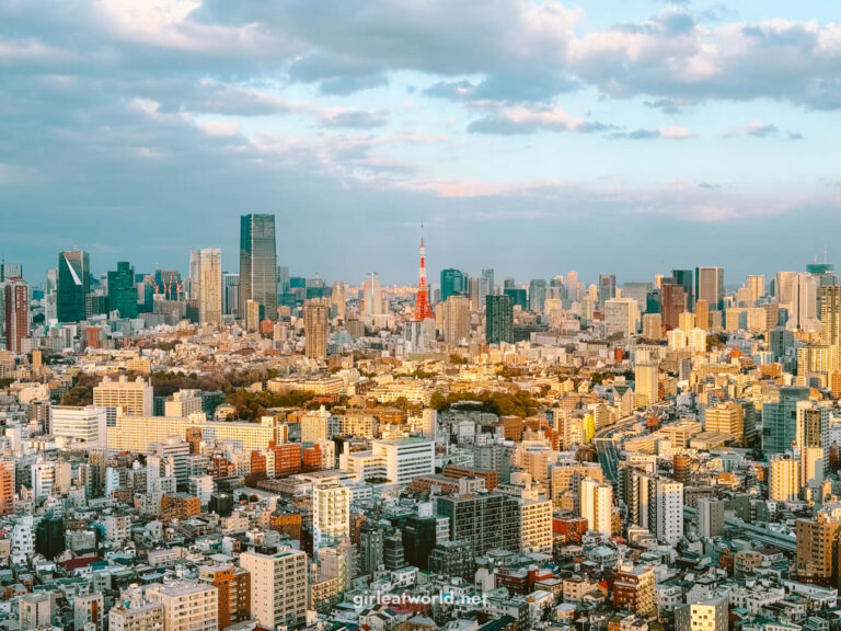 Best Views of Tokyo Skyline: Observation Decks and Viewing Points ...