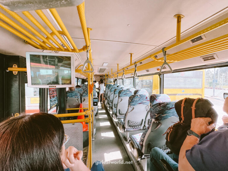 How to Go to Johor Bahru by Bus from Singapore — Girl Eat World