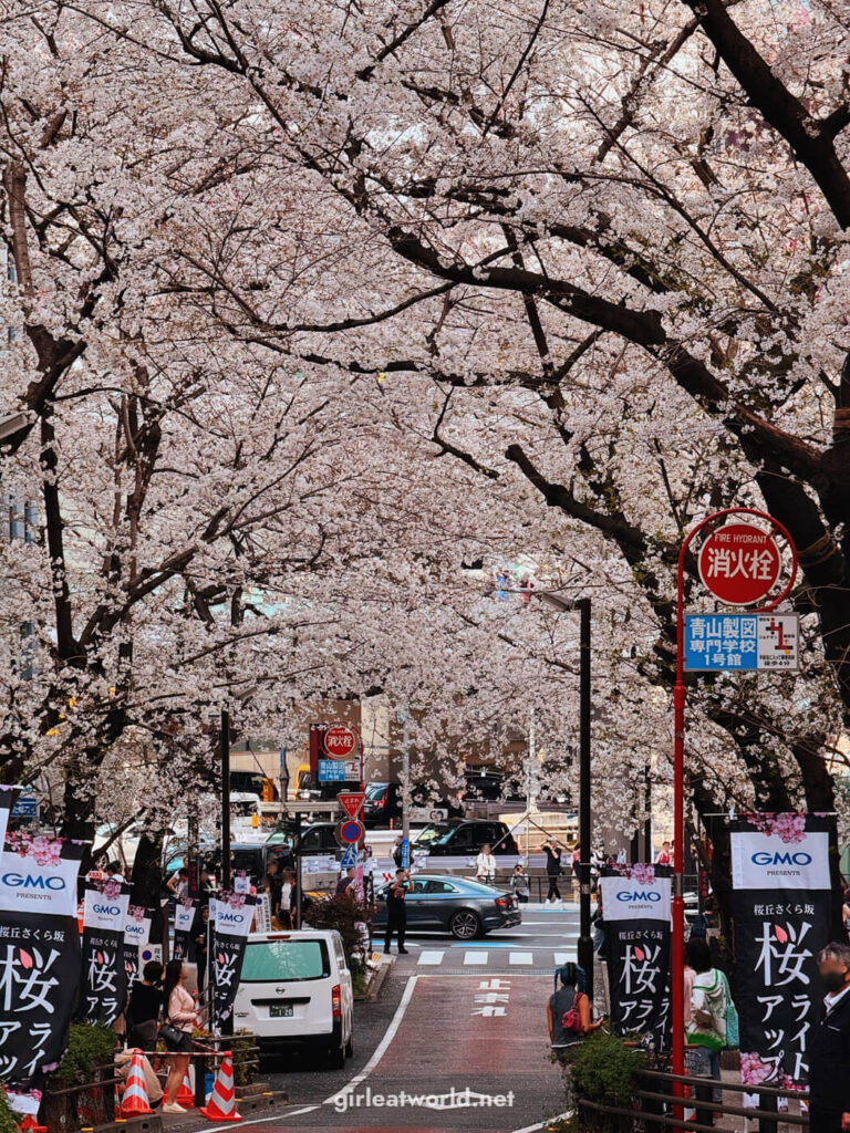Where to See Sakura in Tokyo (Photo Spots With My Personal Ratings ...